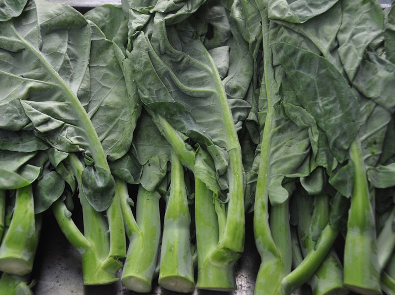 Hạt giống rau cải rổ - Vua hạt giống